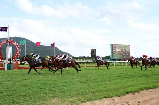 Welcome to Mysore Races || Homepage